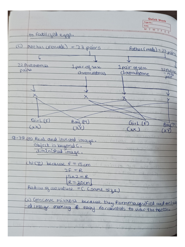 Class 10th Science Outside Delhi Set 1 2023 Question Paper | PDF