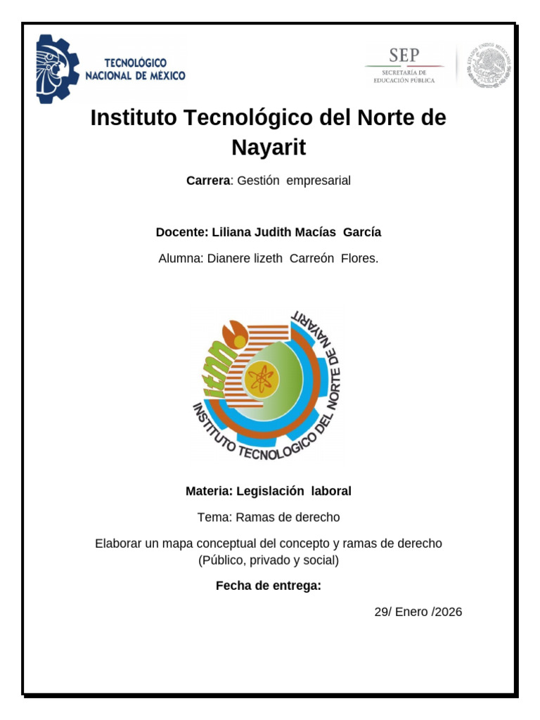 Mapa Conceptual Carreón | PDF