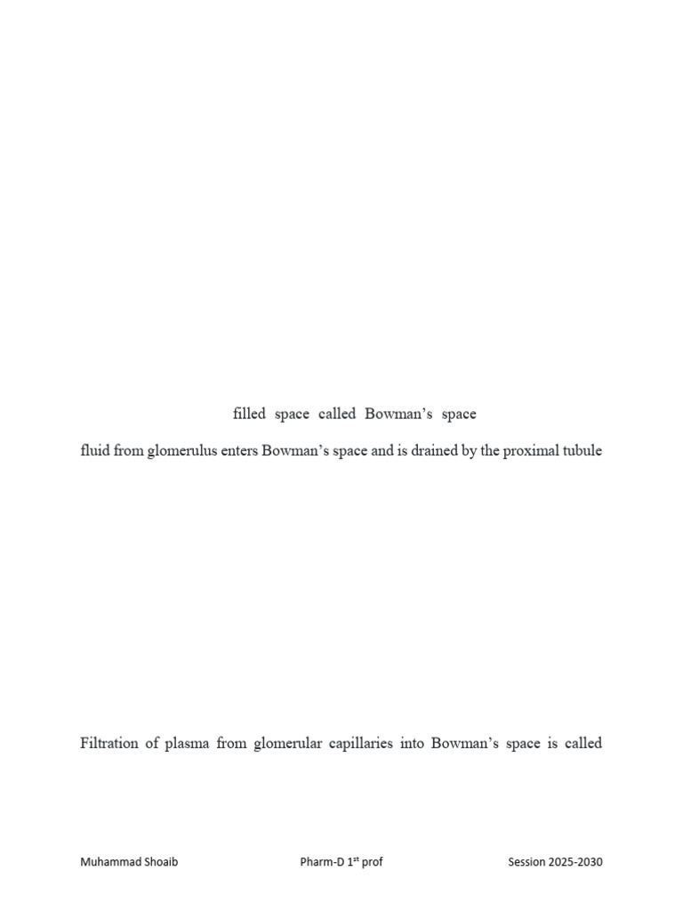 Kidney and Digestive System - Copy | PDF | Stomach | Kidney