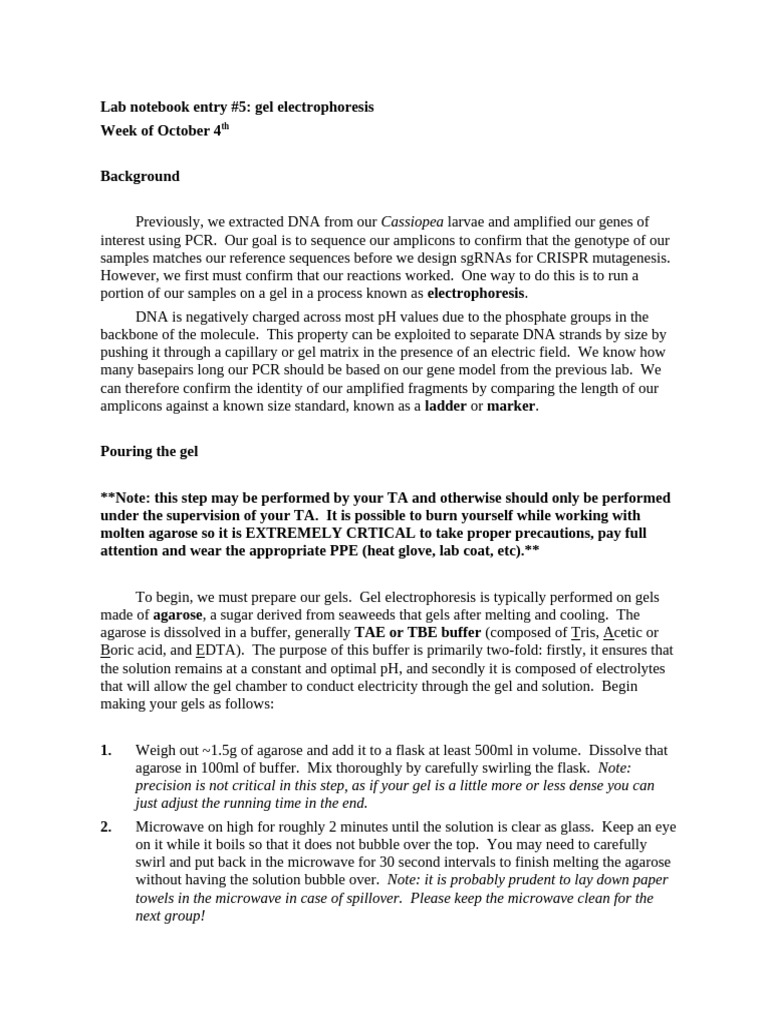 Lab Notebook - Gel Electrophoresis | PDF | Gel Electrophoresis ...