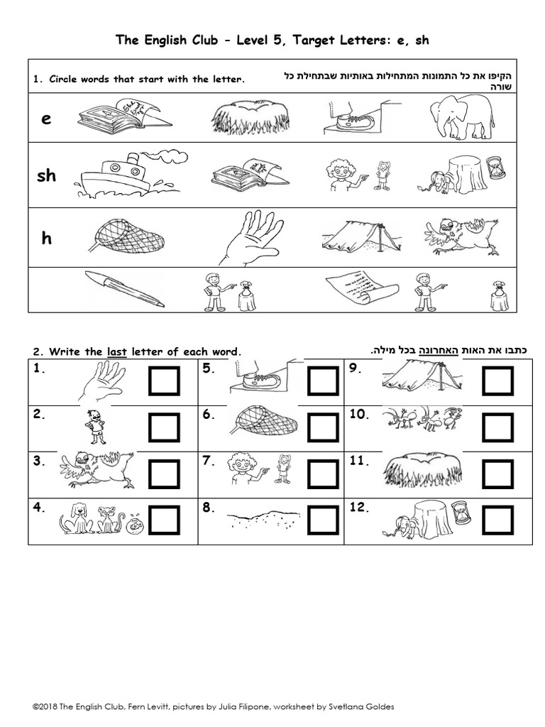 Level 5 Worksheet | PDF