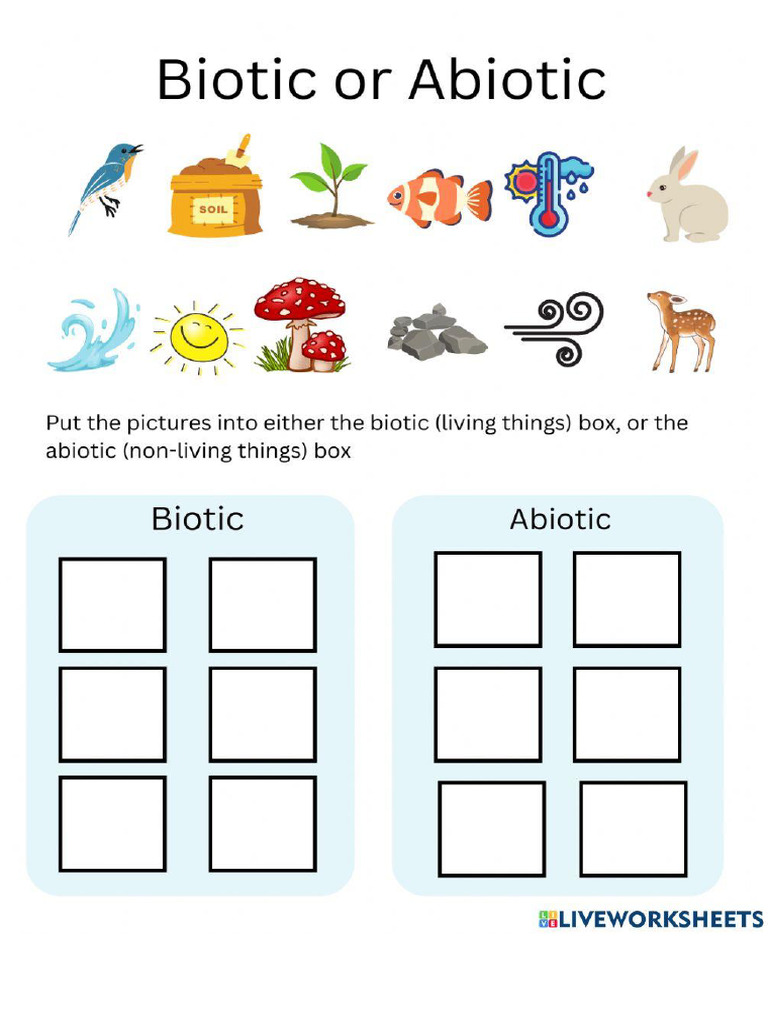 Worksheet Biotic | PDF