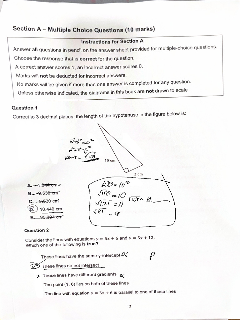 Section A - Multiple Choice Questions (10 Marks) | PDF