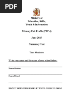 CPEA Practice Worksheets Overview | PDF
