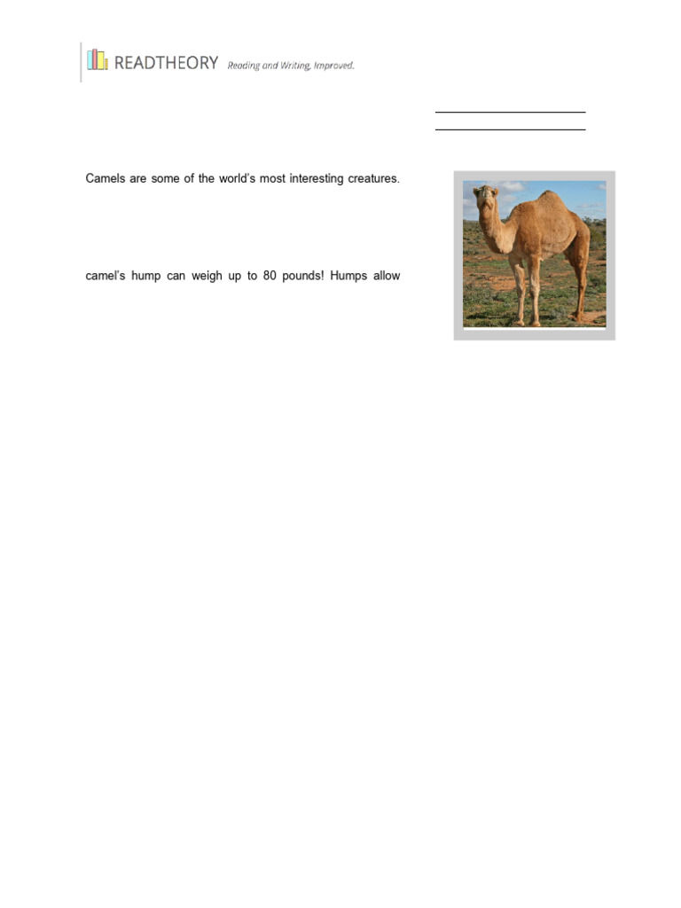 5th Grade Camels All | PDF | Camel | Ethnobiology