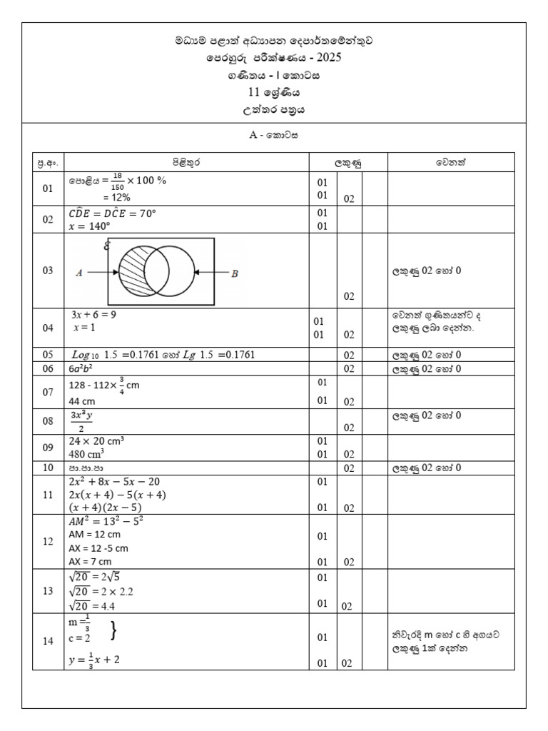 Grade 11 Maths SM Part I Answer Script (1) | PDF