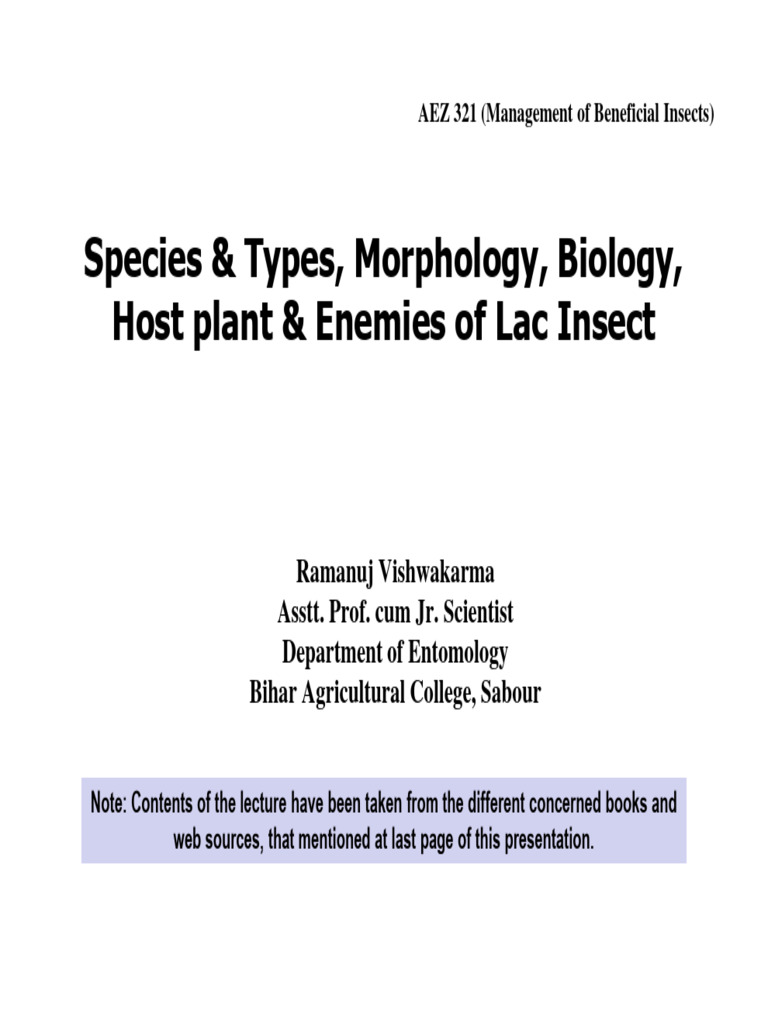 Ramanuj Lecture 13 - Lac Culture | PDF | Pollination | Insects