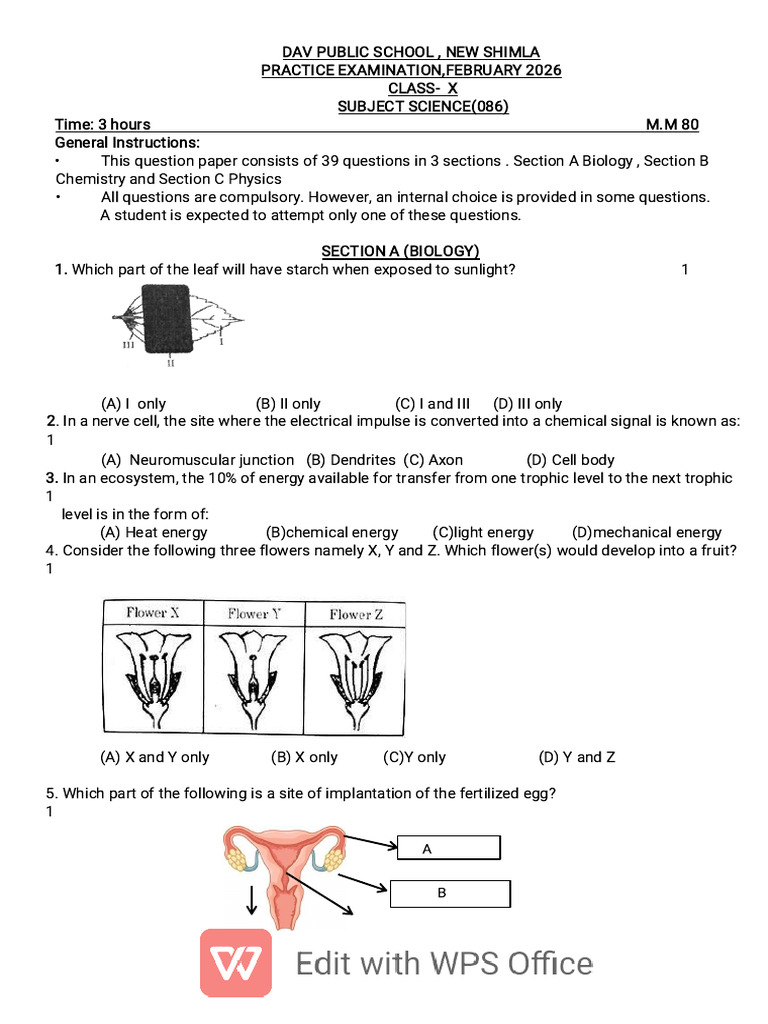 SCIENCE Practice Paper Class X 2026 - Feb | PDF | Dominance (Genetics ...