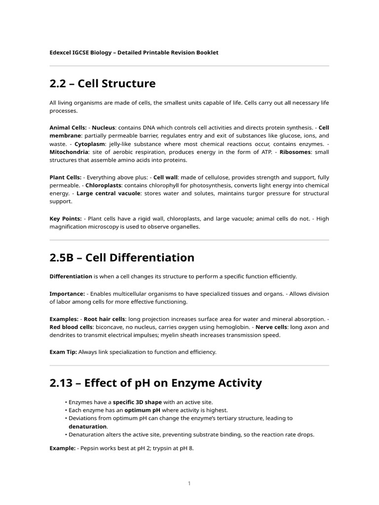 Igcse Biology Revision Booklet | PDF | Cell (Biology) | Translation ...