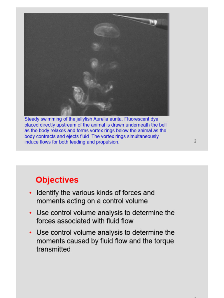 Chapter 6-Presentation Modified | PDF | Rotation Around A Fixed Axis ...