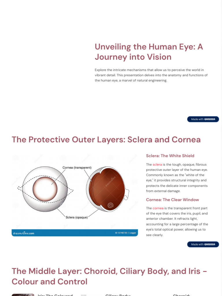 Unveiling-the-Human-Eye-A-Journey-into-Vision | PDF | Eye | Retina
