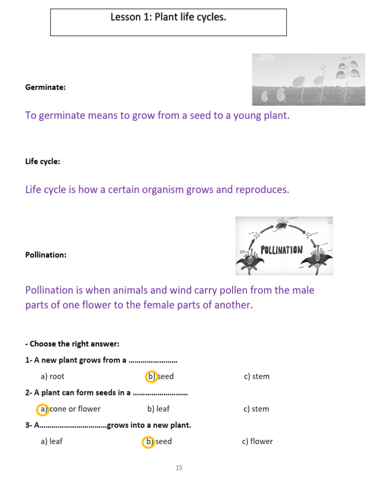 Science Booklet - Answer Key Unit 2 Plants | PDF | Seed | Flowers