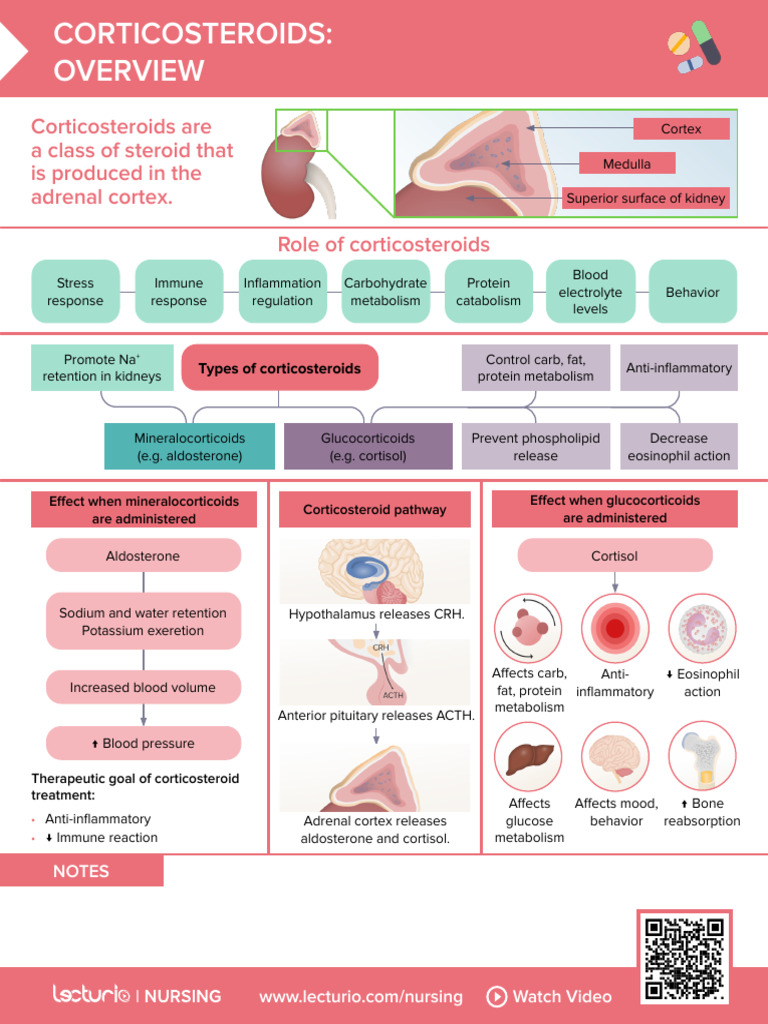 CORTICO LECTUR | PDF | Glucocorticoid | Cortisol
