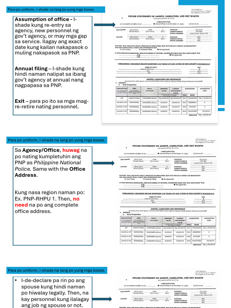Additional Guiddelines in Filling Out Saln Form 2025 | PDF