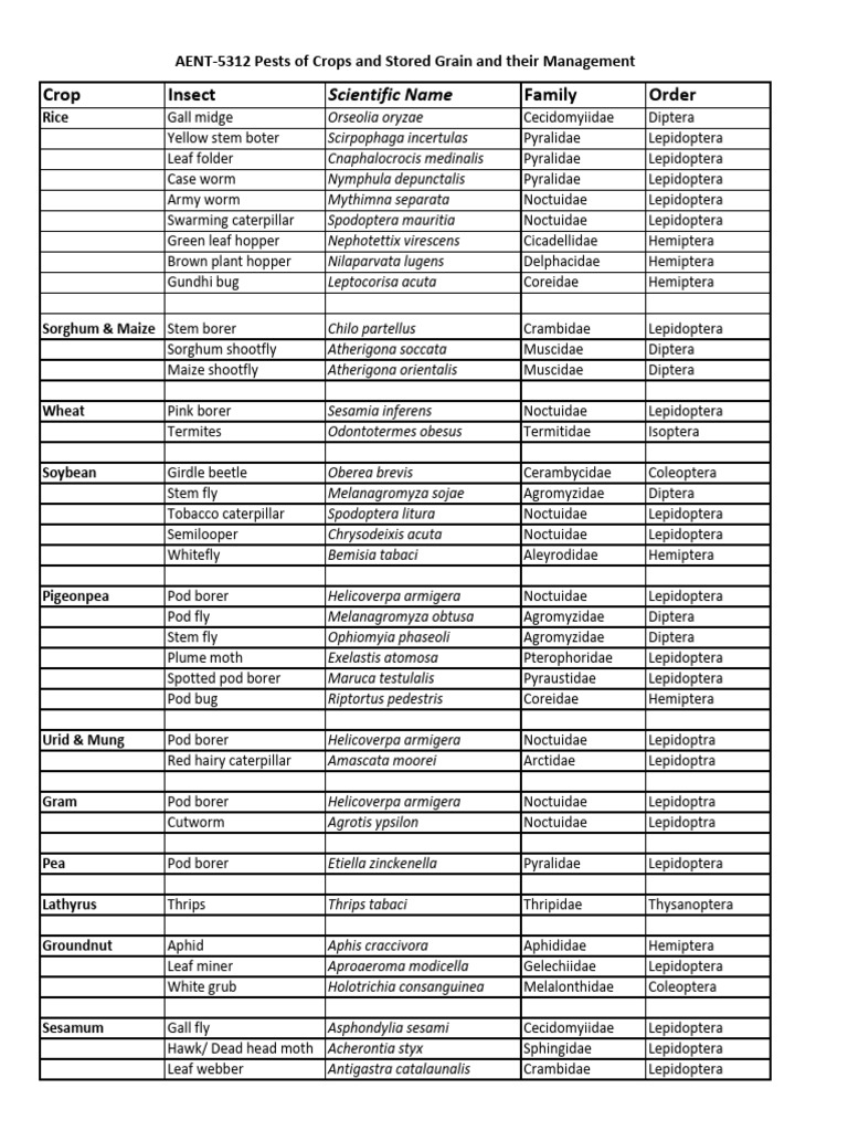 Entomology Scientific Name | PDF | Lepidoptera | Insects And Humans