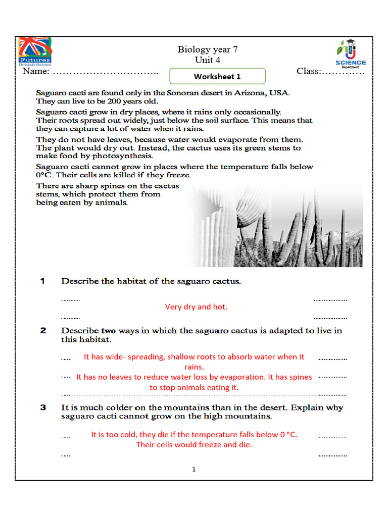 Biology 7 Unit 4 t2 Model | PDF