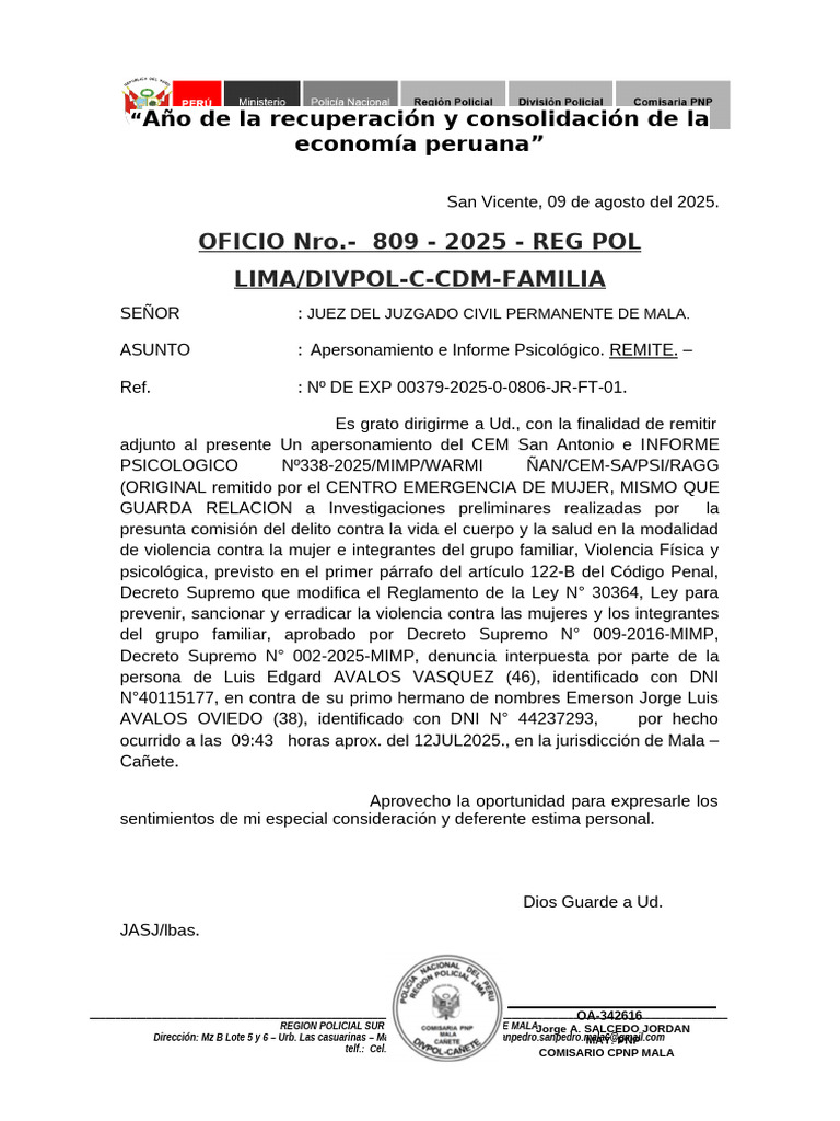 Remite Informe Psicologico | PDF | Justicia | Crimen y violencia
