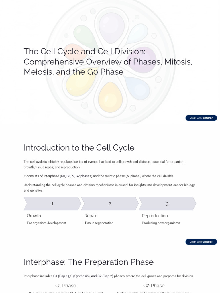 The Cell Cycle and Cell Division Comprehensive Overview of Phases ...
