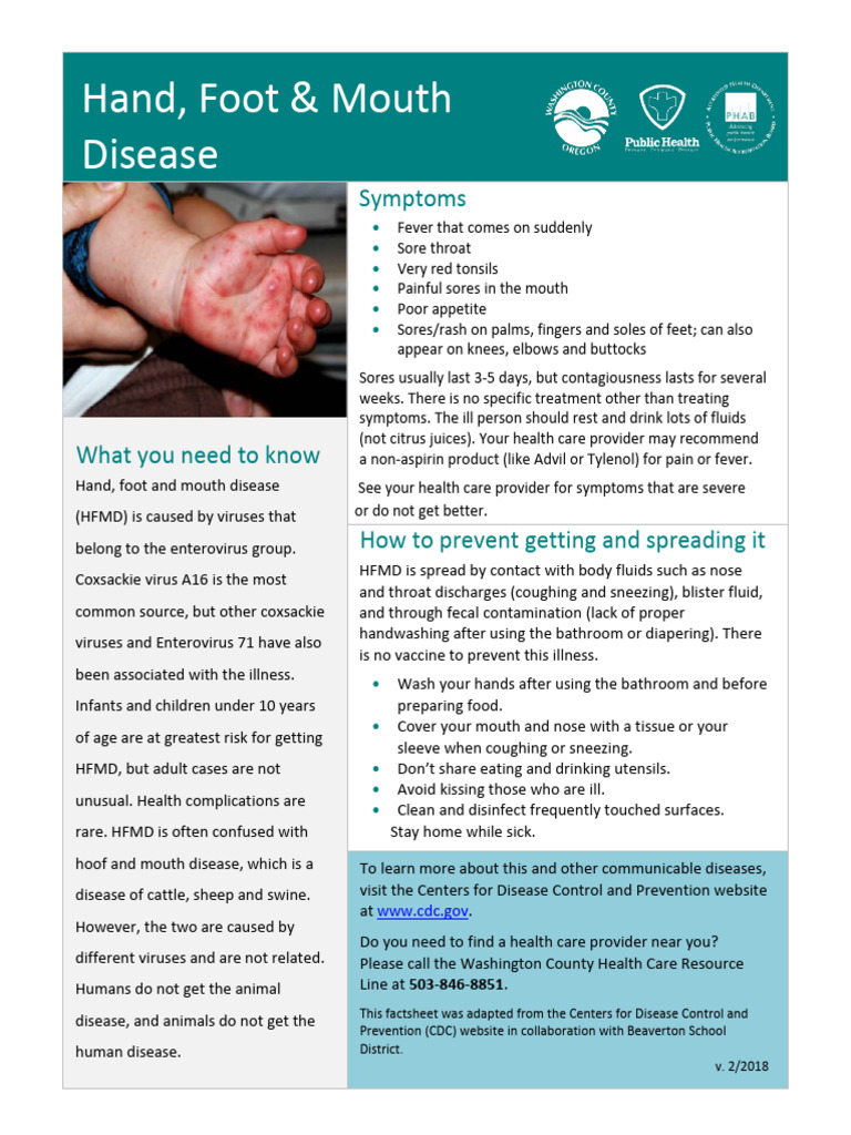 Hand Foot Mouth Disease 2018 English | PDF | Diseases And Disorders ...
