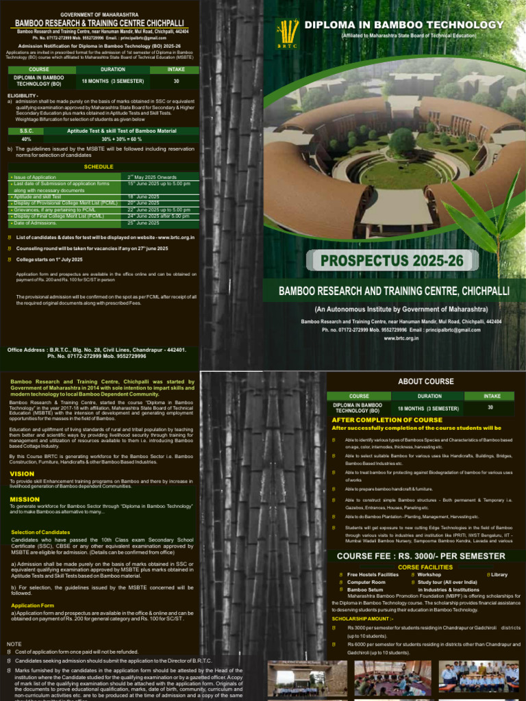Diploma File 4 | PDF | Bamboo | Educational Stages