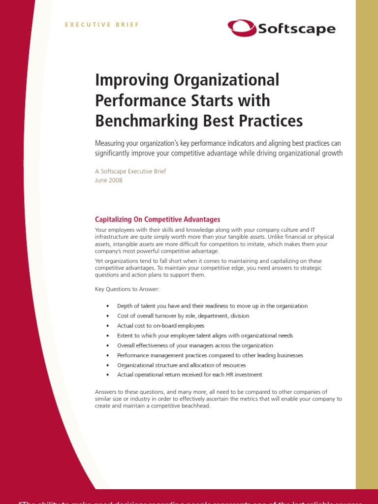 Softscape Executive Brief: Improving Organizational Performance Starts ...