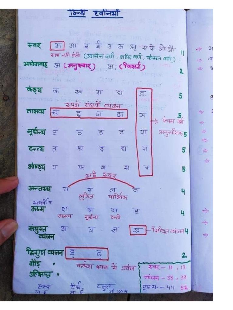 Hindi Notes | PDF