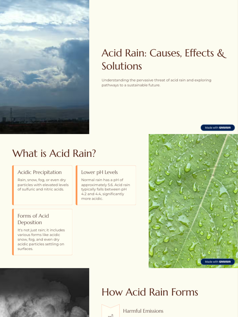 Acid Rain Causes Effects and Solutions | PDF | Air Pollution | Natural ...
