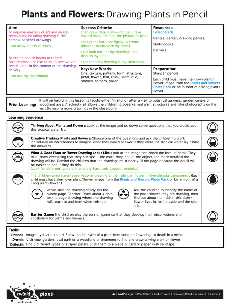 Lesson Plan Drawing Plants in Pencil | PDF | Flowers | Drawing
