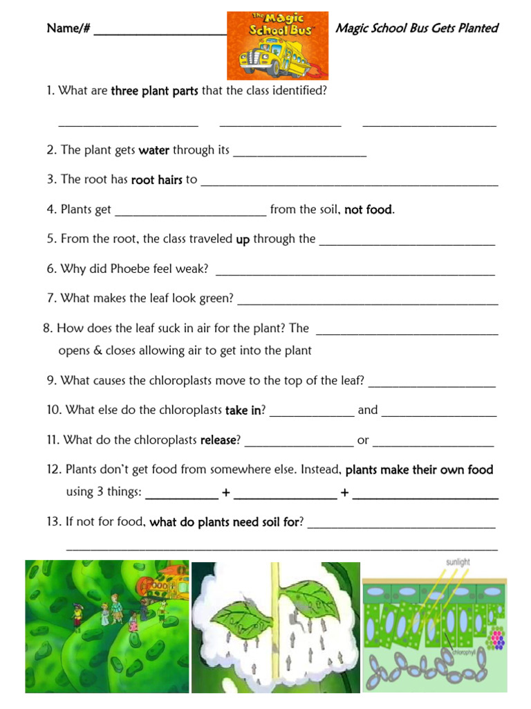 AHMARI HALL - Magic Schoolbus Gets Planted Notesheet | PDF