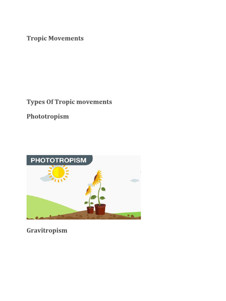 Tropism | PDF | Organisms | Plant Physiology