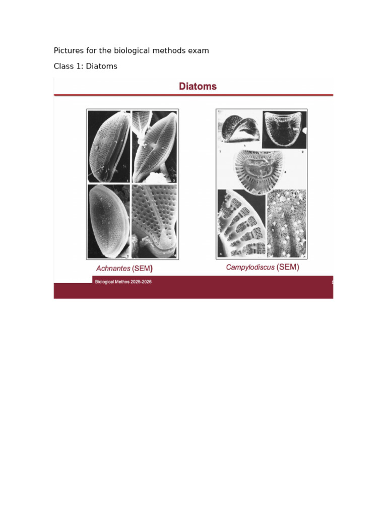Pictures For The Biological Methods Exam | PDF