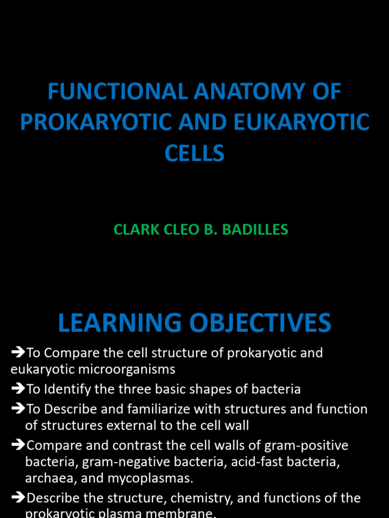 Functional Anatomy of Prokaryotic and Eukaryoric Cells 3rd | PDF | Cell ...