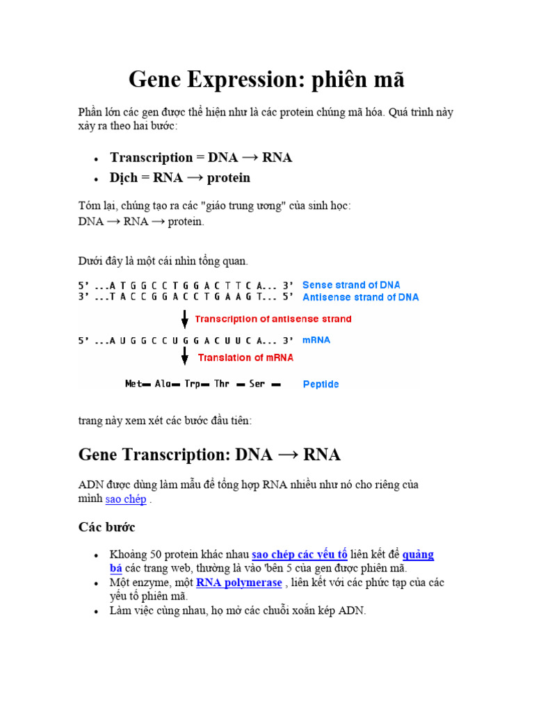Gene Expression | PDF