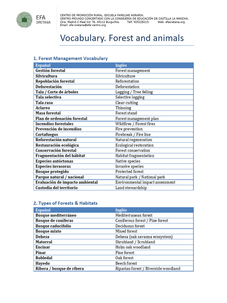 Vocabulary Animals and Forest | PDF | Los bosques | Paisaje