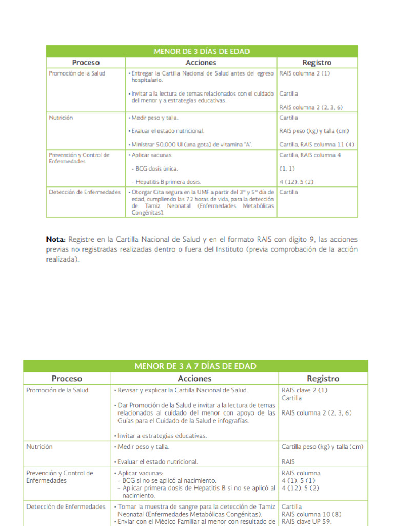COMO LLENAR HOJA RAIS | PDF
