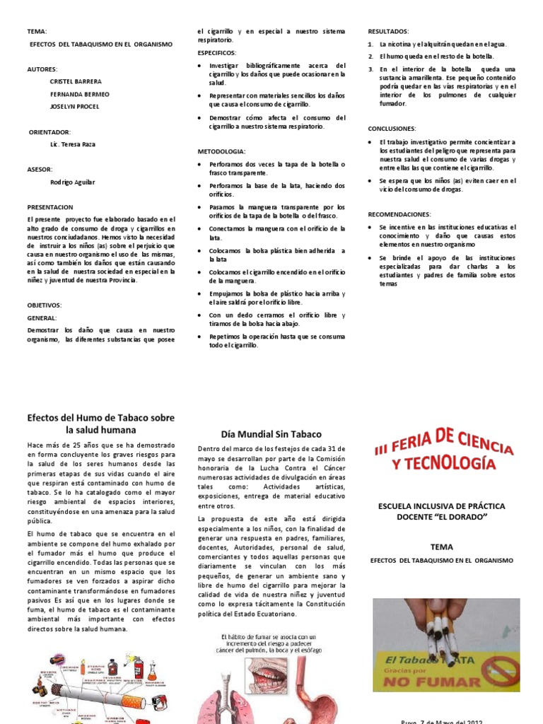 Efectos del Tabaquismo en la Salud | PDF | Tabaco | Cigarrillo