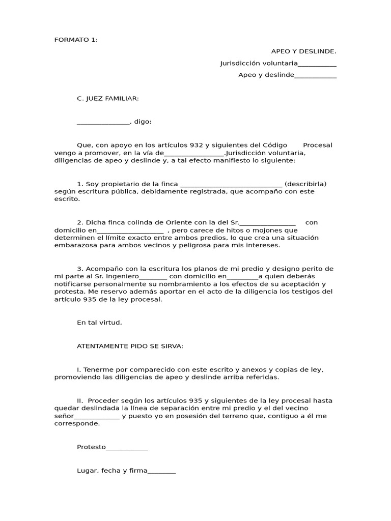 Formato 1-2-3 JV Apeo y Deslinde | PDF
