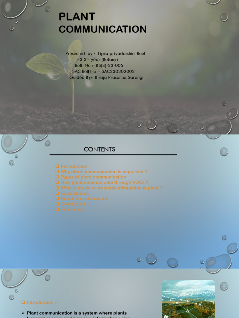 Presentation On Plant Communication Seminar | PDF | Biology | Plants