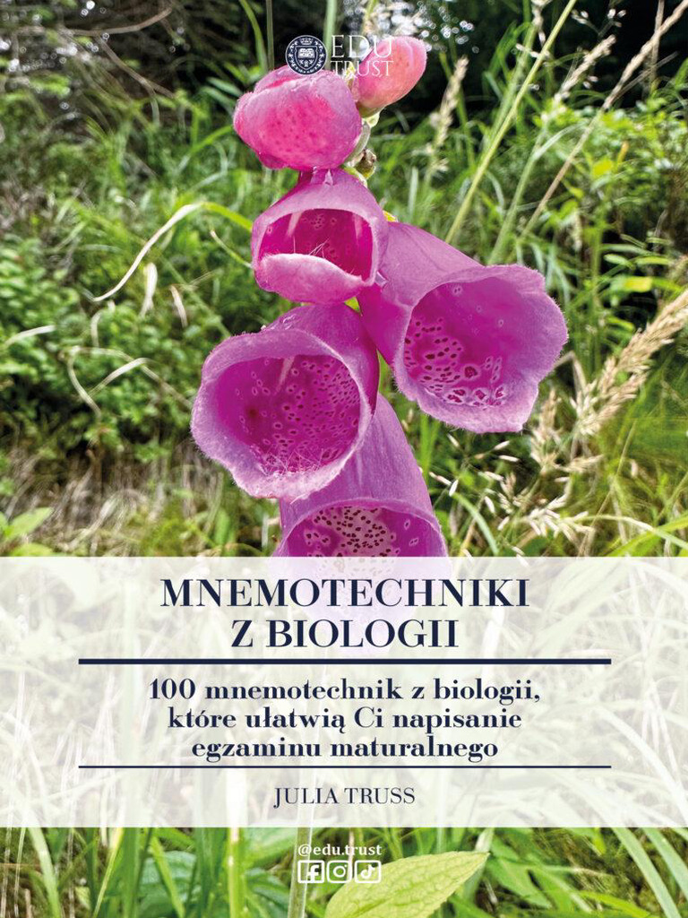 Mnemo Technik i | PDF
