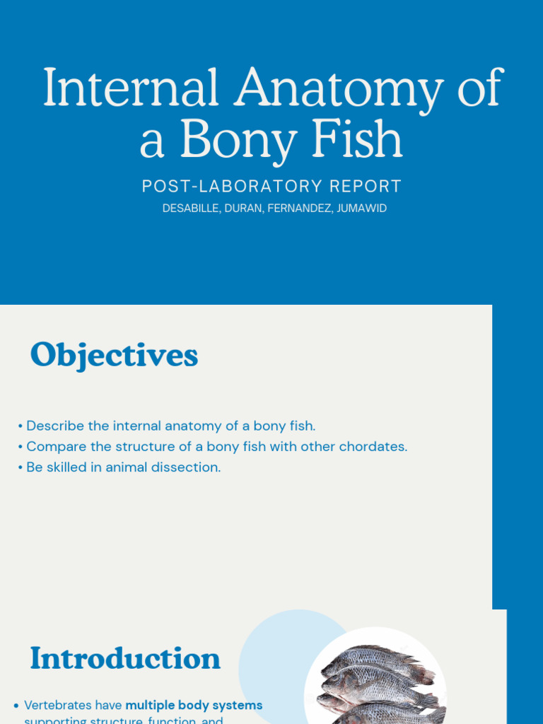 EVO FNL FISH INTERNAL ANATOMY | PDF | Lymphatic System | Fish