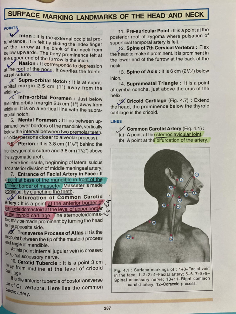 Surface Marking All | PDF