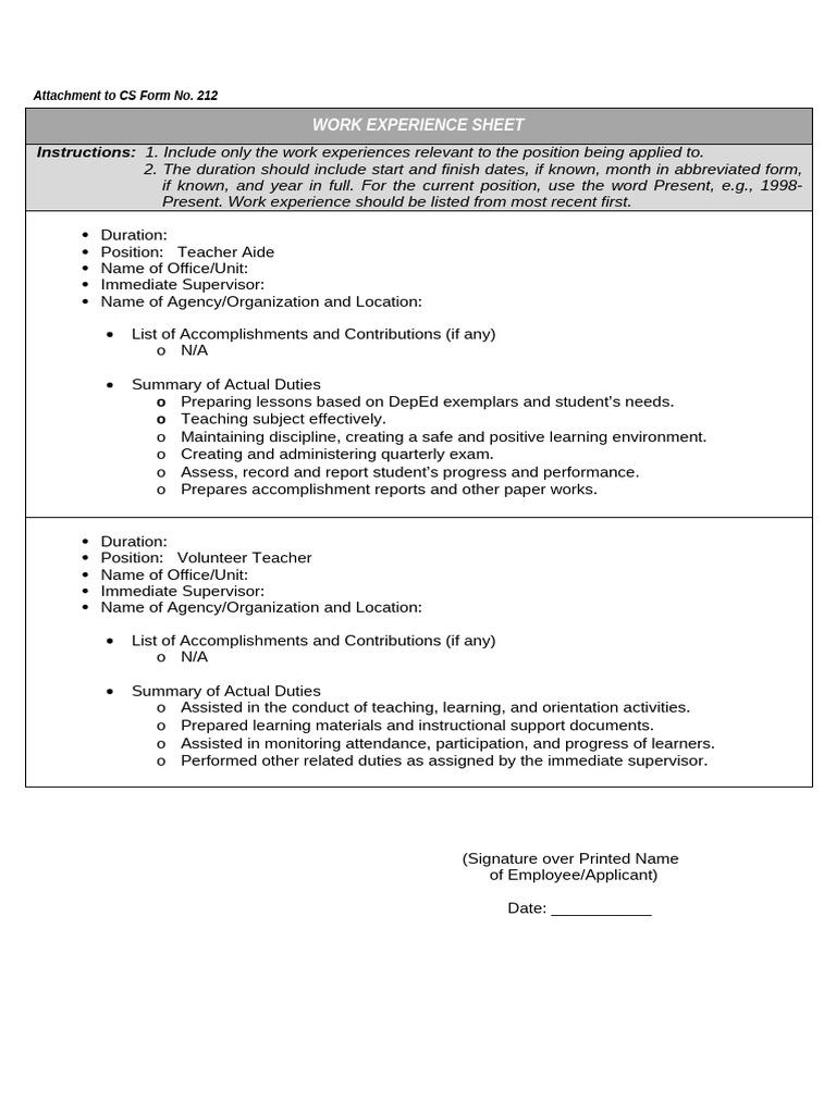 Castro - Work Experience Sheet | PDF