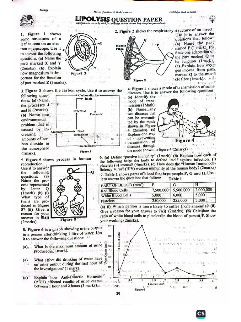 Biology f4 Leprosysis Paper | PDF
