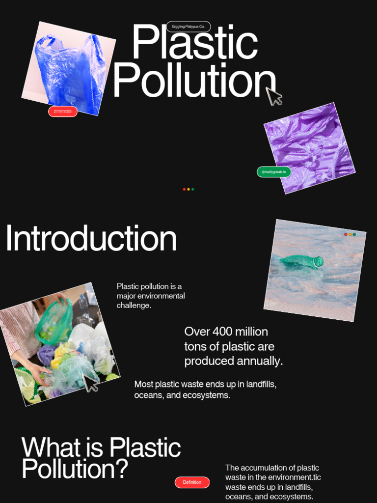Definition 20260203 225003 0000 | PDF | Plastic | Pollution