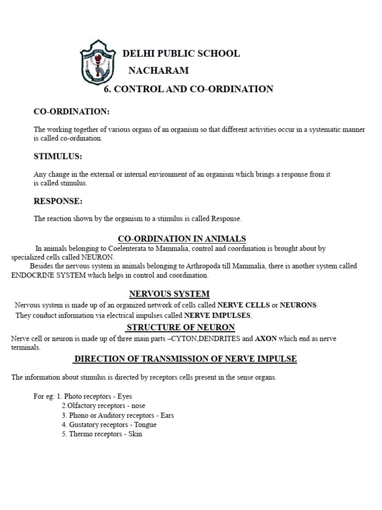 Control and Co-Ordination Notes | PDF | Neuron | Stimulus (Physiology)