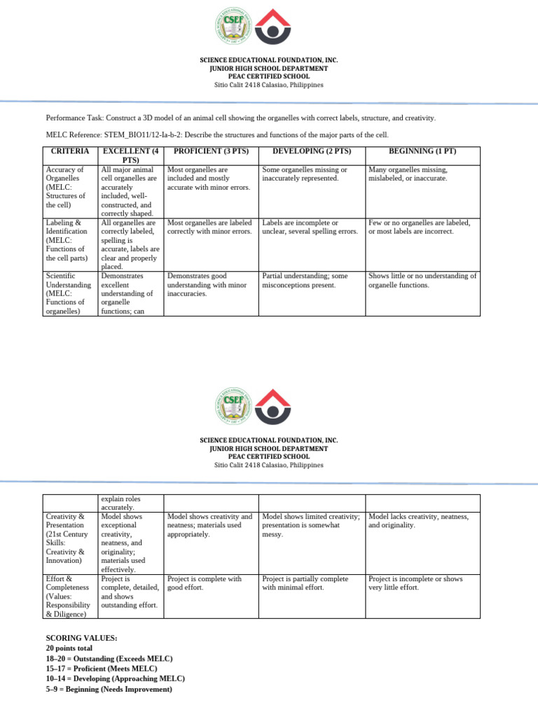 Animal Cell 3D Model Rubric | PDF | Cognition