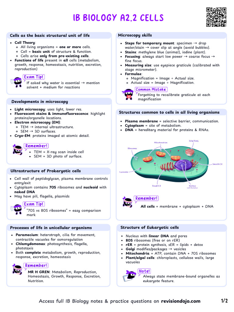 A2.2 Cells | PDF | Cell (Biology) | Eukaryotes