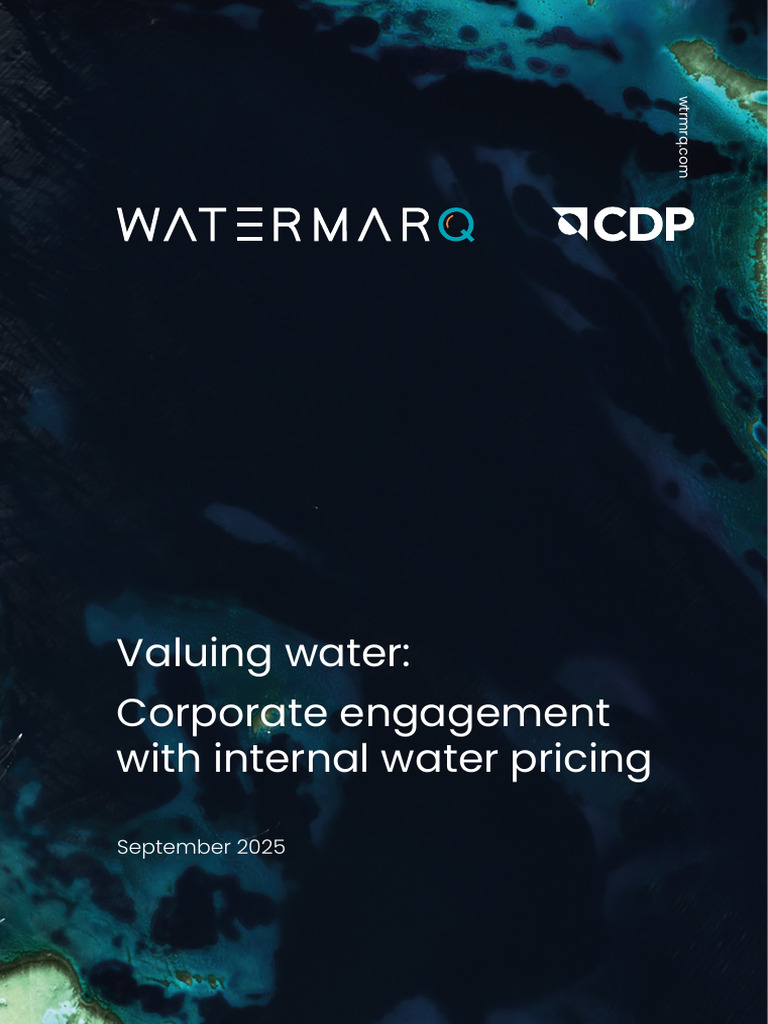 Valuing Water Internal Pricing | PDF | Pricing | Prices