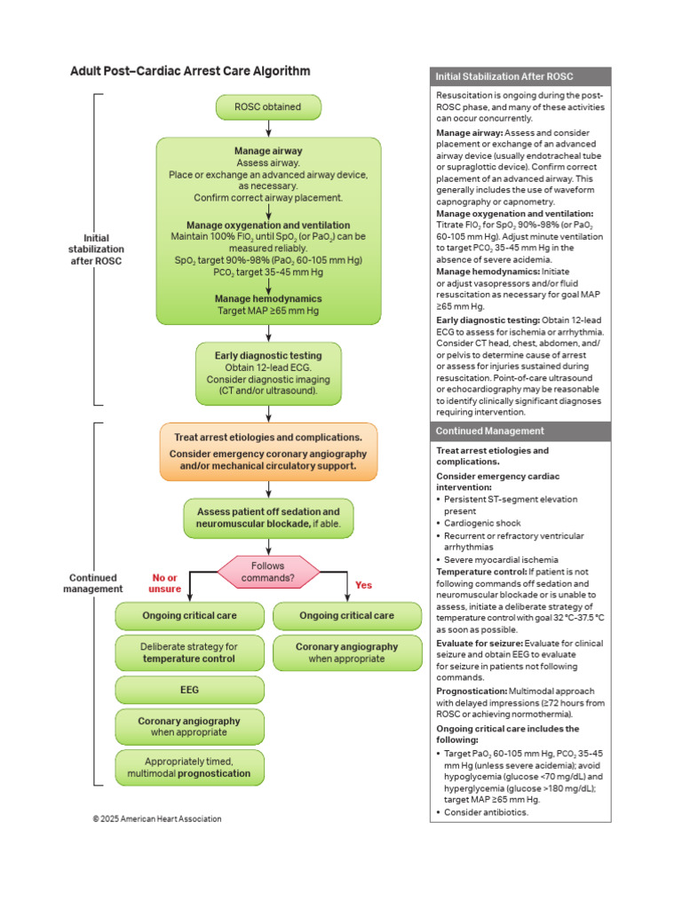 2025 Aha Bls Acls Algorithms | PDF | Cardiopulmonary Resuscitation ...