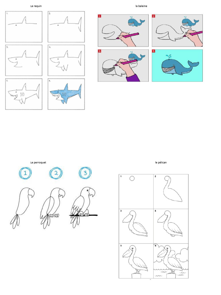 20 Fiches de Dessins Dirigés D'animaux CYCLE 2 | PDF
